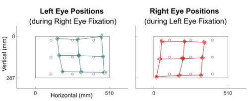 Strabismus measurement made easy - nzoptics