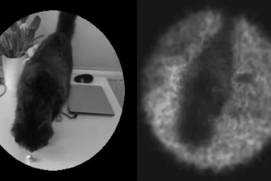 Blindsight claim discredited